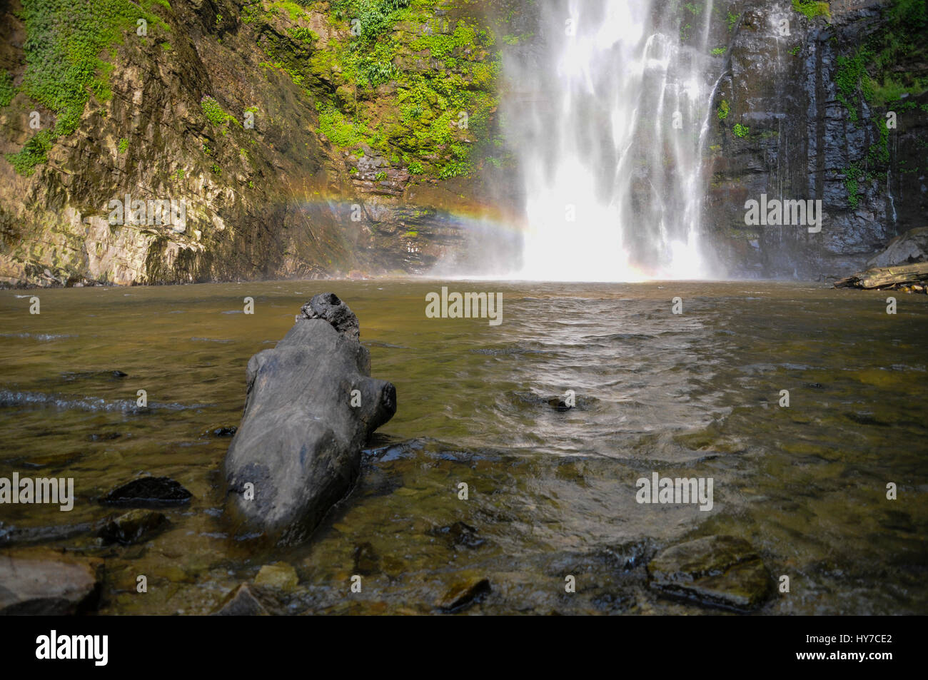 A waterfall in the tropical forest of Ghana Stock Photo - Alamy