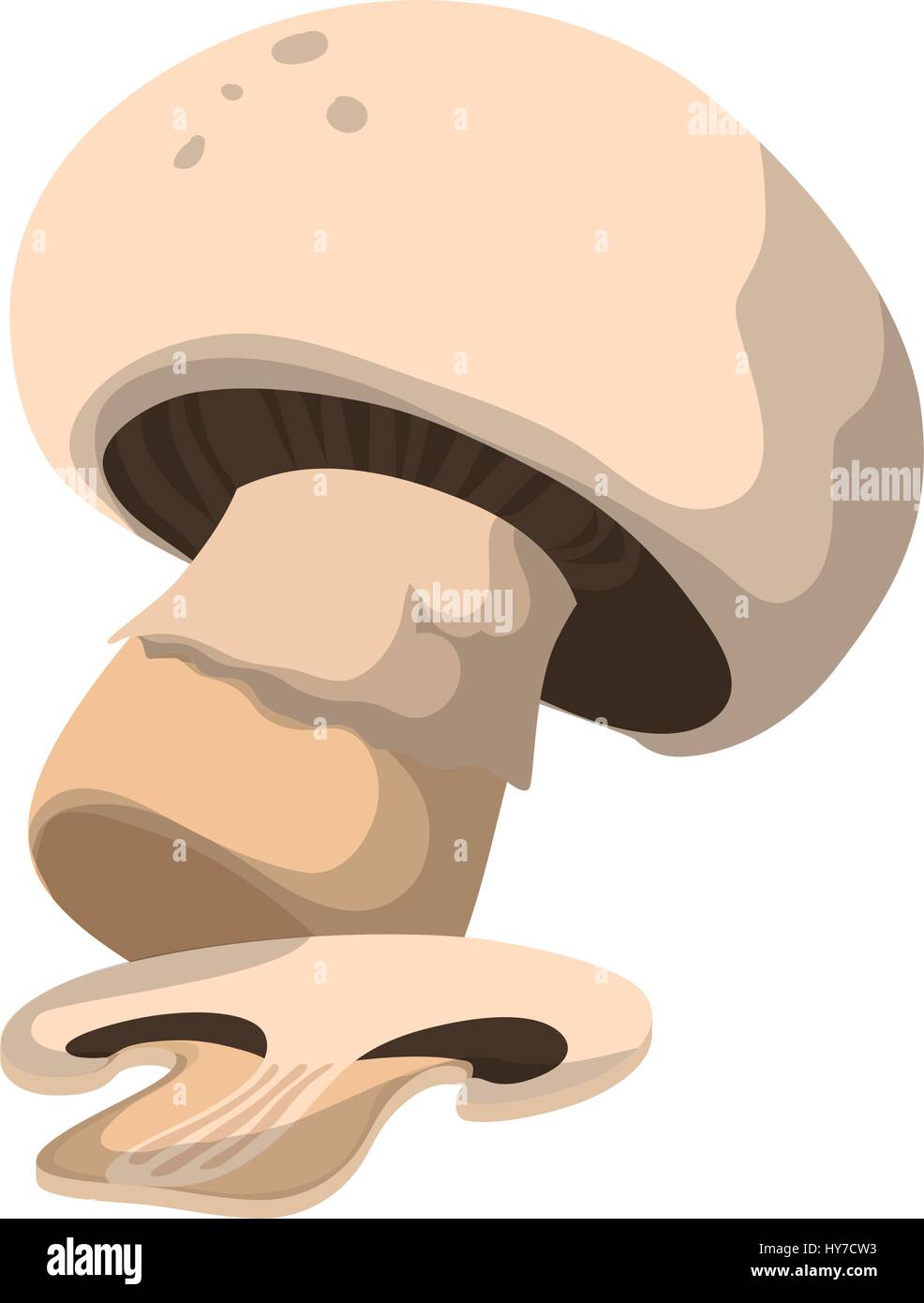 mushroom champignon slice vegetable vector icon illustration Stock ...