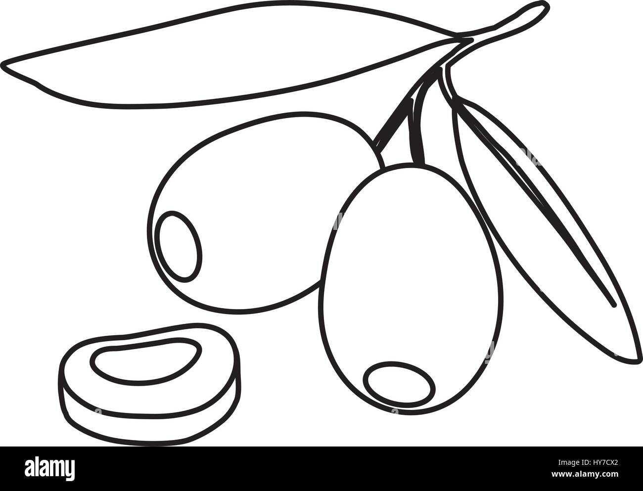 olives leaf slice vegetable vector icon illustration Stock Vector Image ...