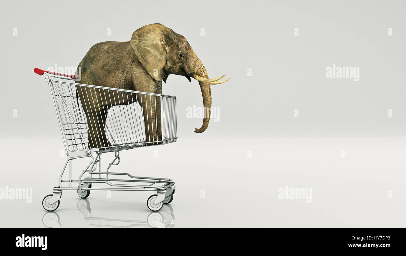 An elephant carrying cargo hi-res stock photography and images - Alamy