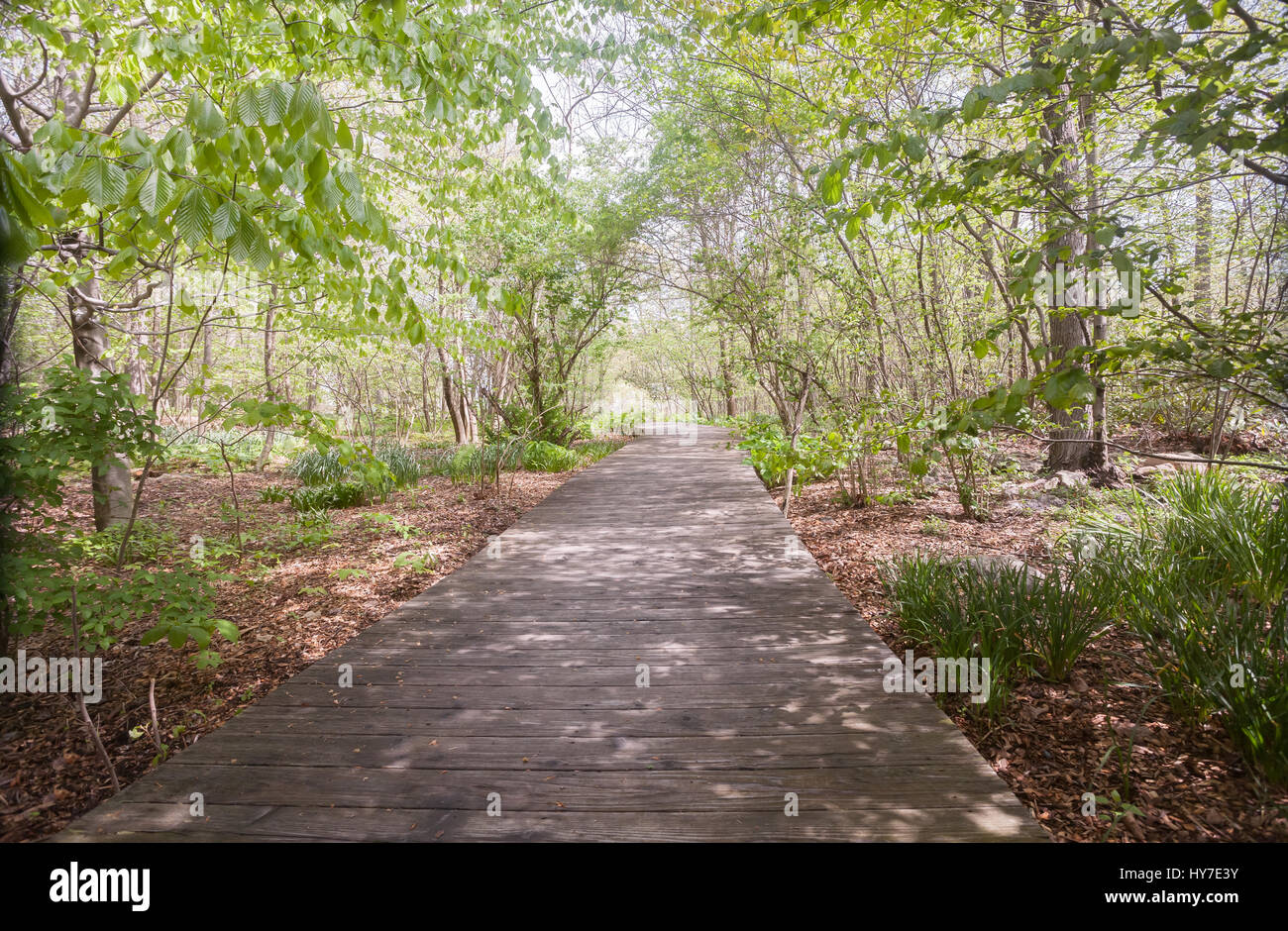 Shaded trail hi-res stock photography and images - Alamy