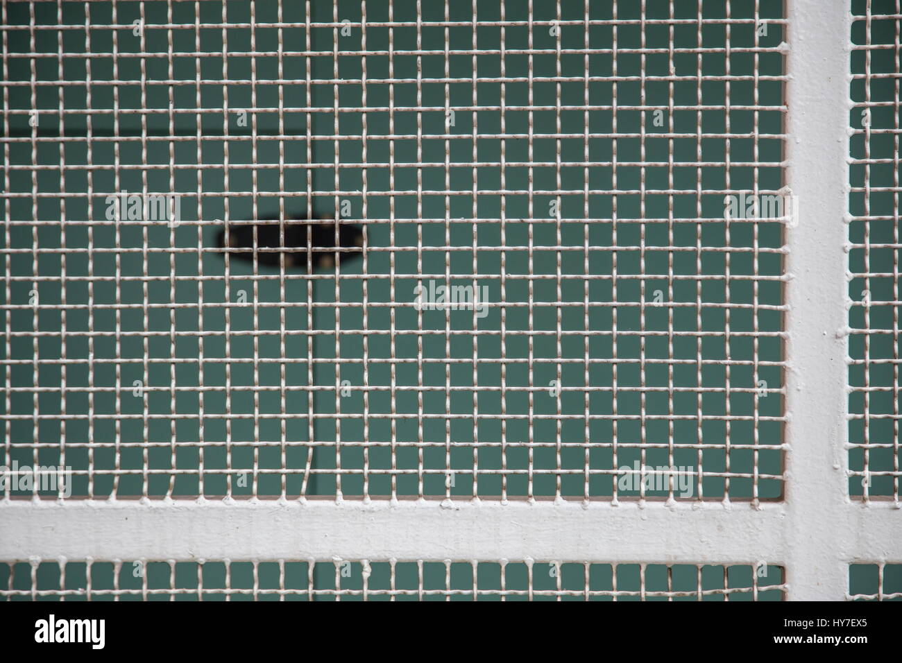 Steel grating for a room of power plant Stock Photo - Alamy