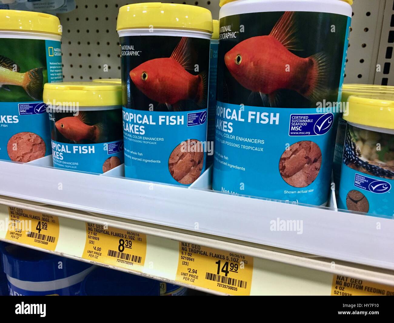 Fish food at Pet Smart Stock Photo - Alamy