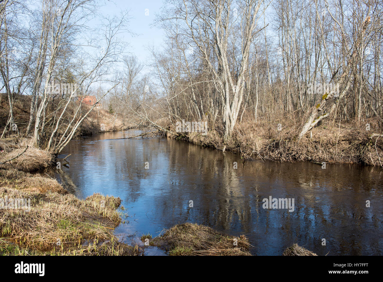 scenic spring colored river in country with trees and reflections Stock ...