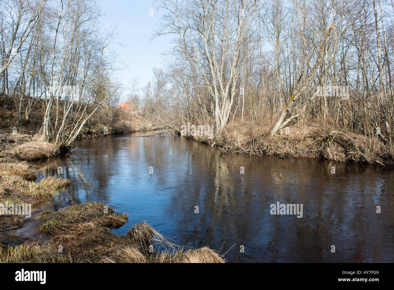 scenic spring colored river in country with trees and reflections Stock ...
