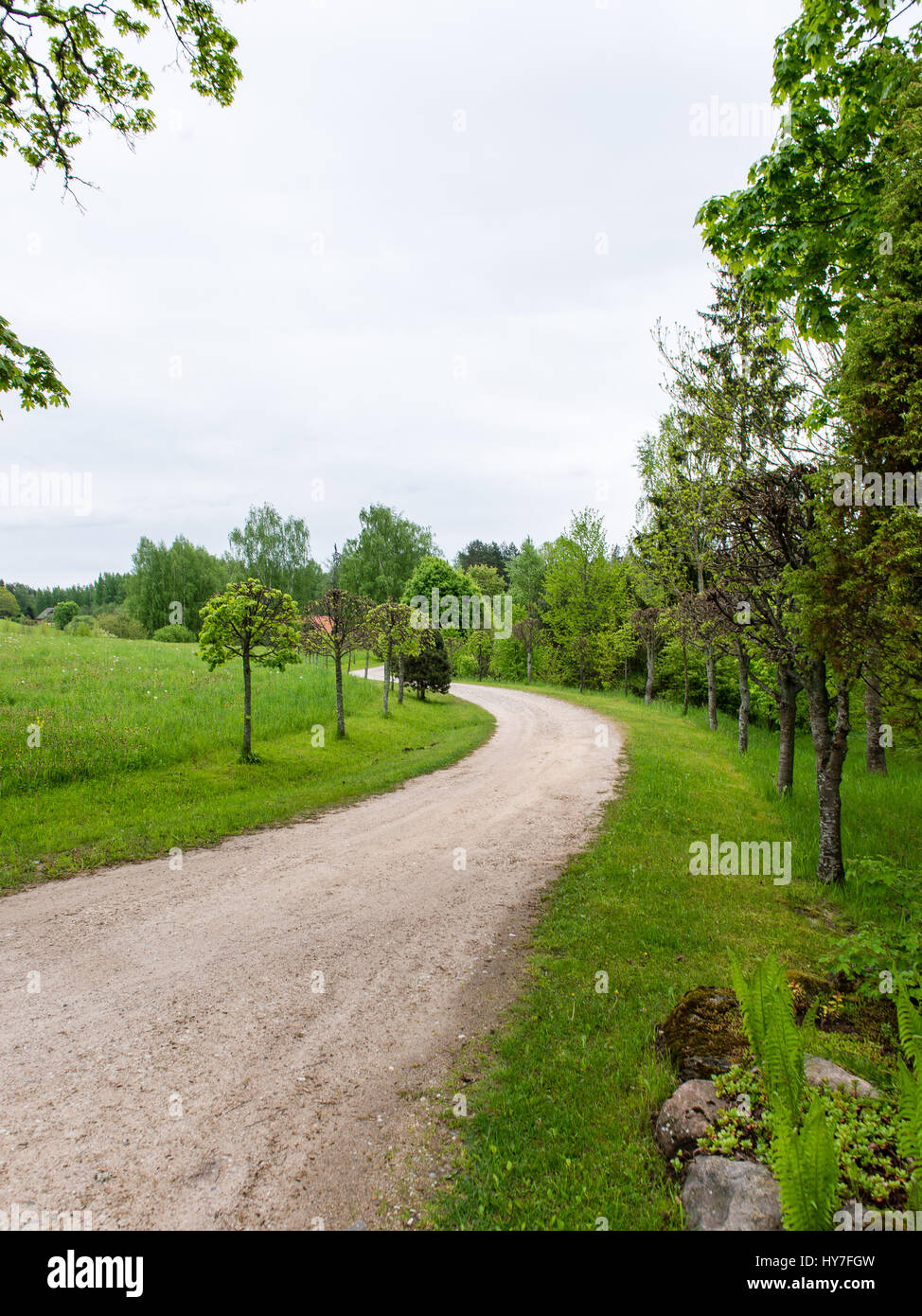 empty road in the countryside with trees and meadows in surrounding ...