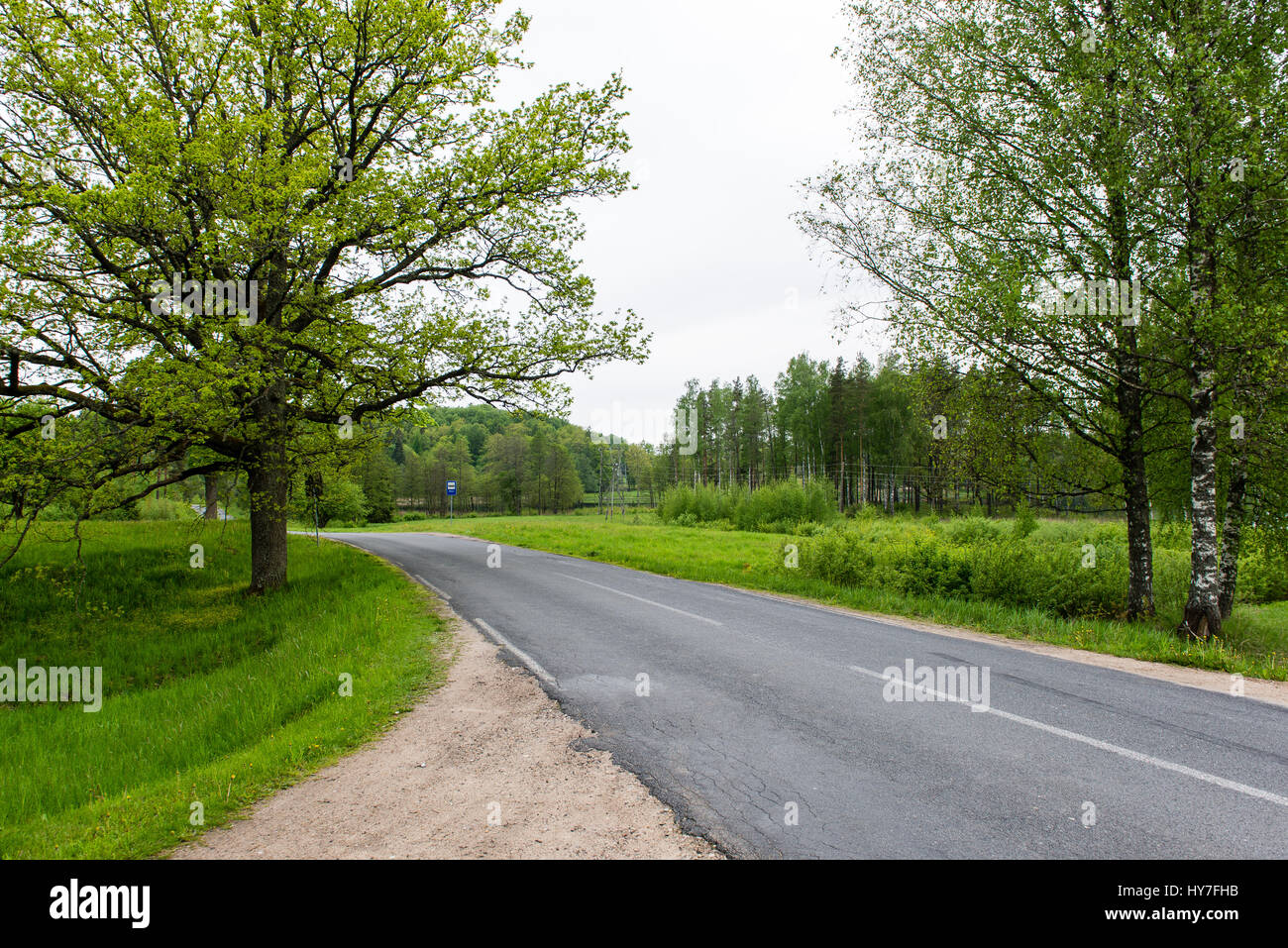empty road in the countryside with trees and meadows in surrounding ...