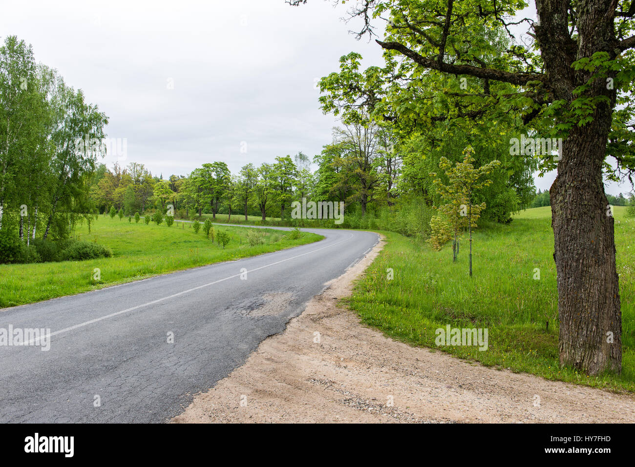 empty road in the countryside with trees and meadows in surrounding ...