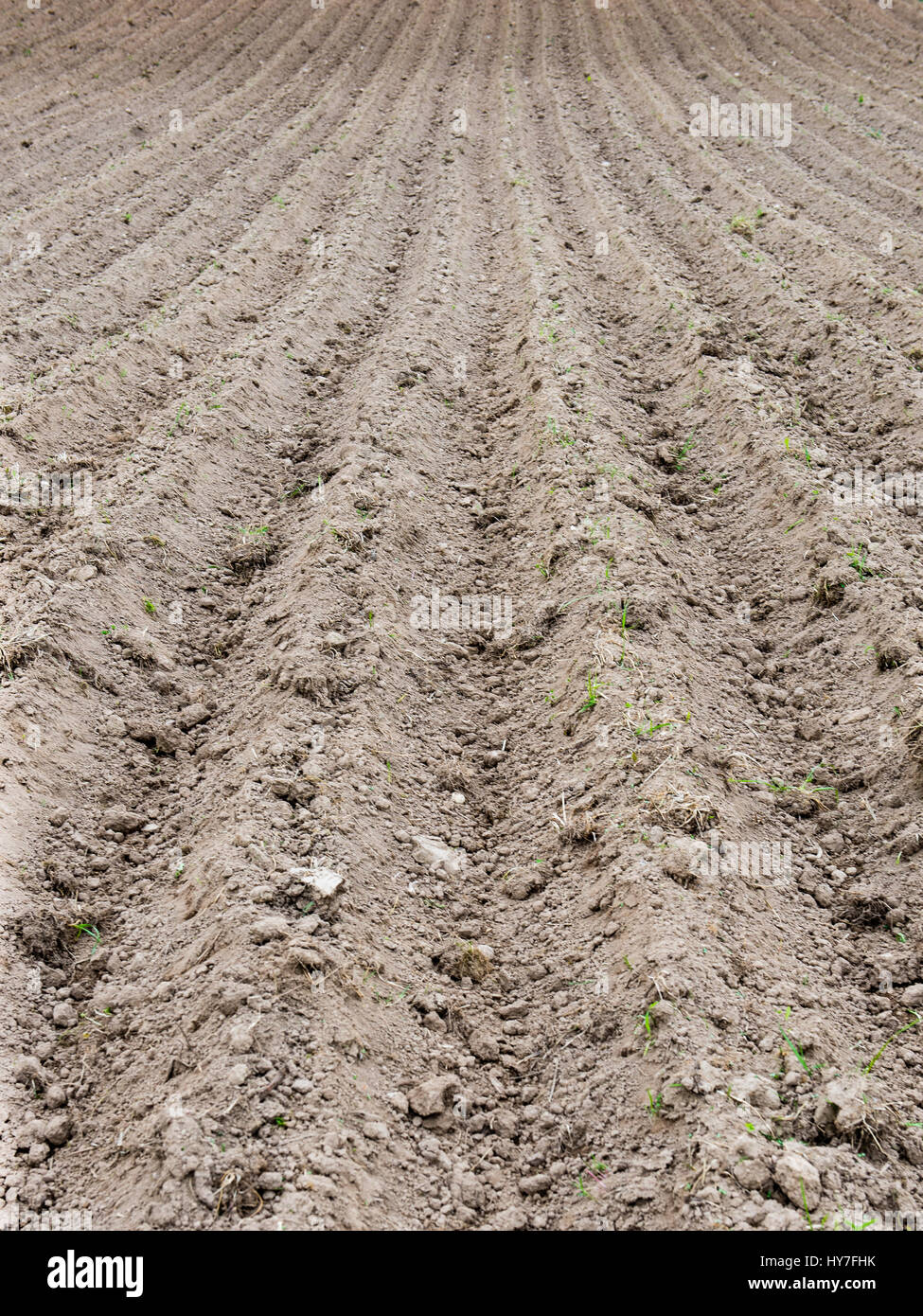 Background of newly plowed field ready for new crops. Ploughed field in ...
