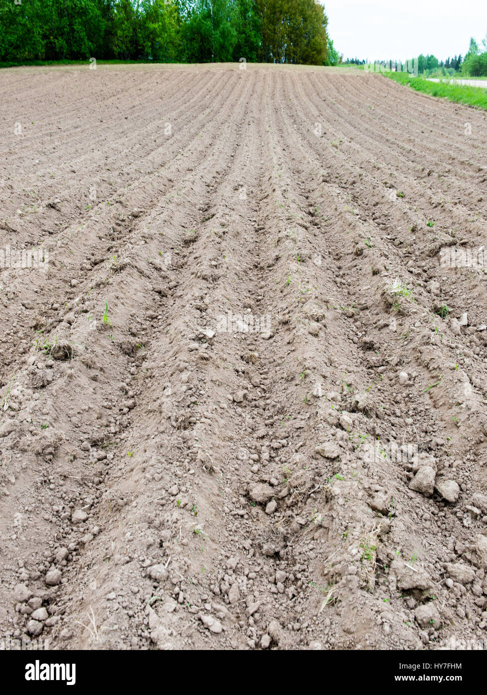 Background of newly plowed field ready for new crops. Ploughed field in ...
