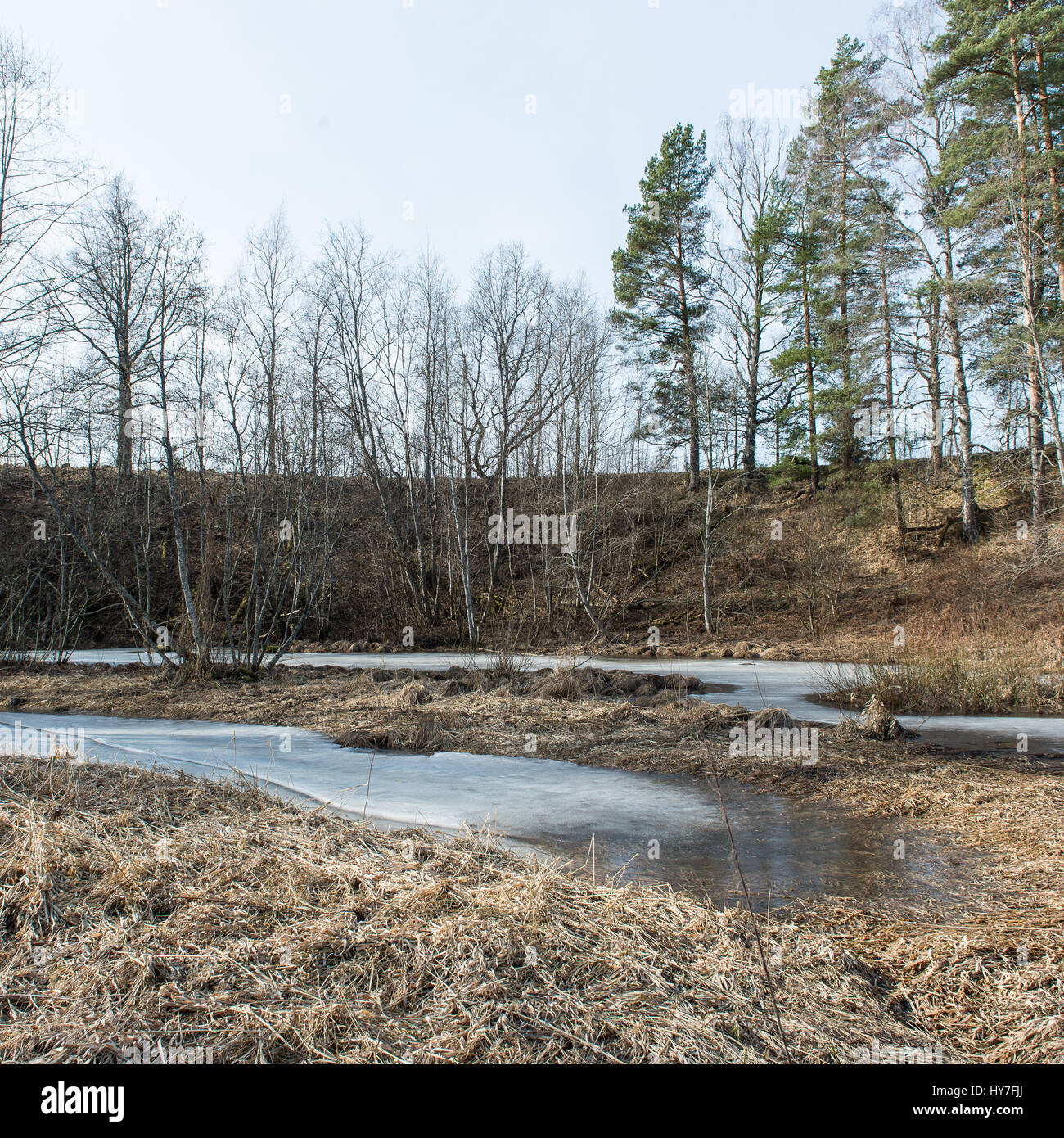 scenic spring colored river in country with trees and reflections Stock ...