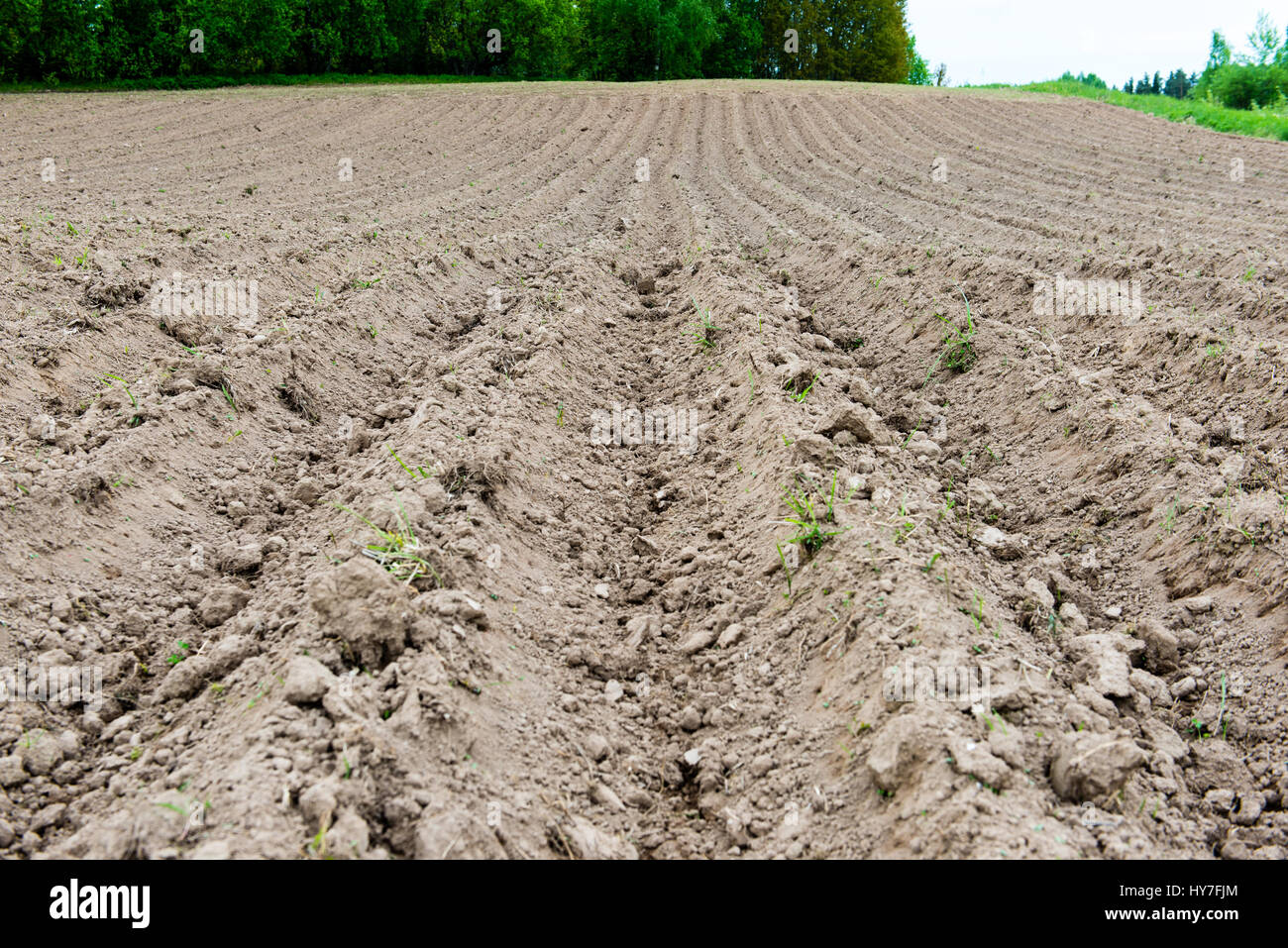 Background of newly plowed field ready for new crops. Ploughed field in ...