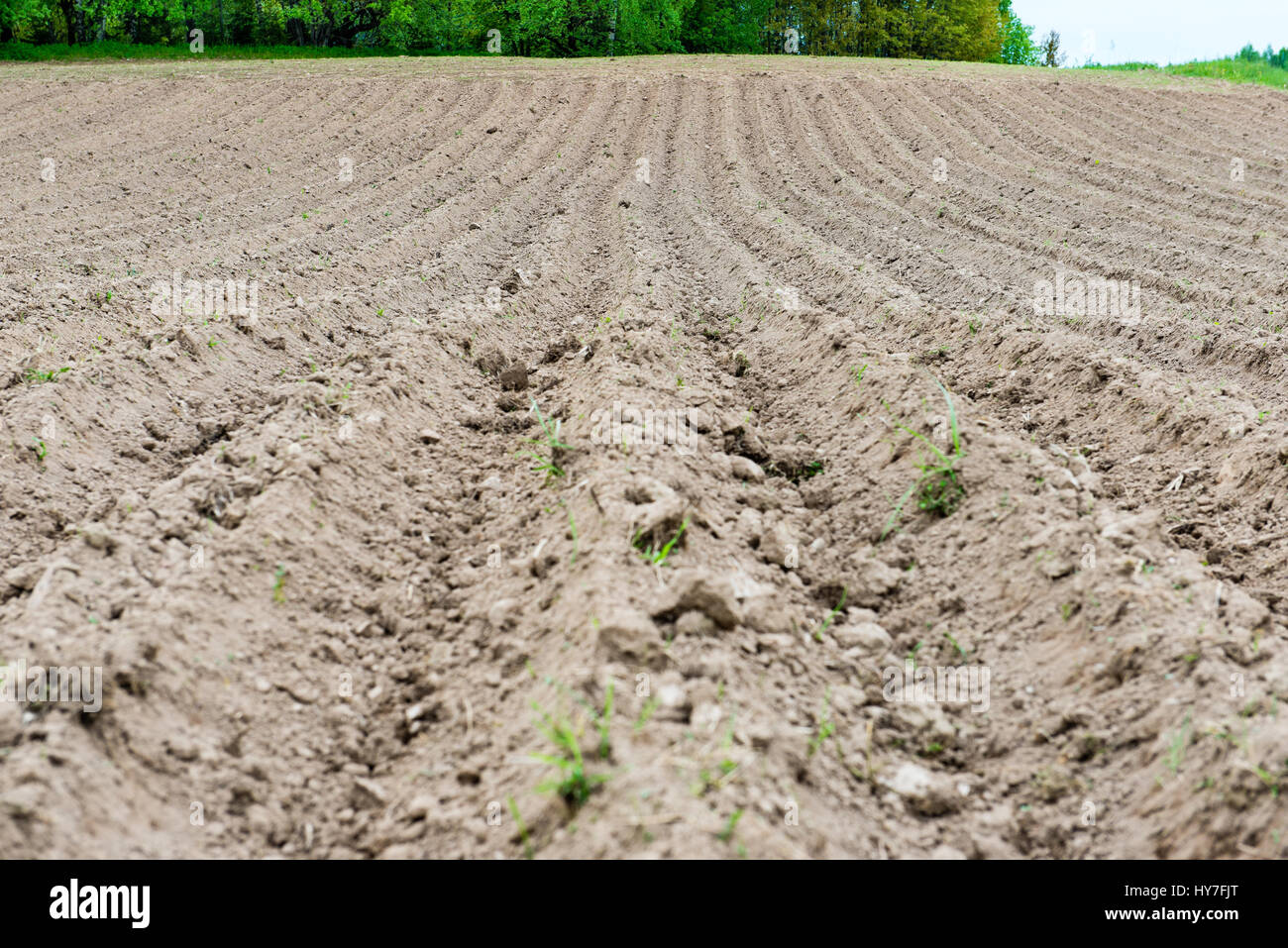 Background of newly plowed field ready for new crops. Ploughed field in ...
