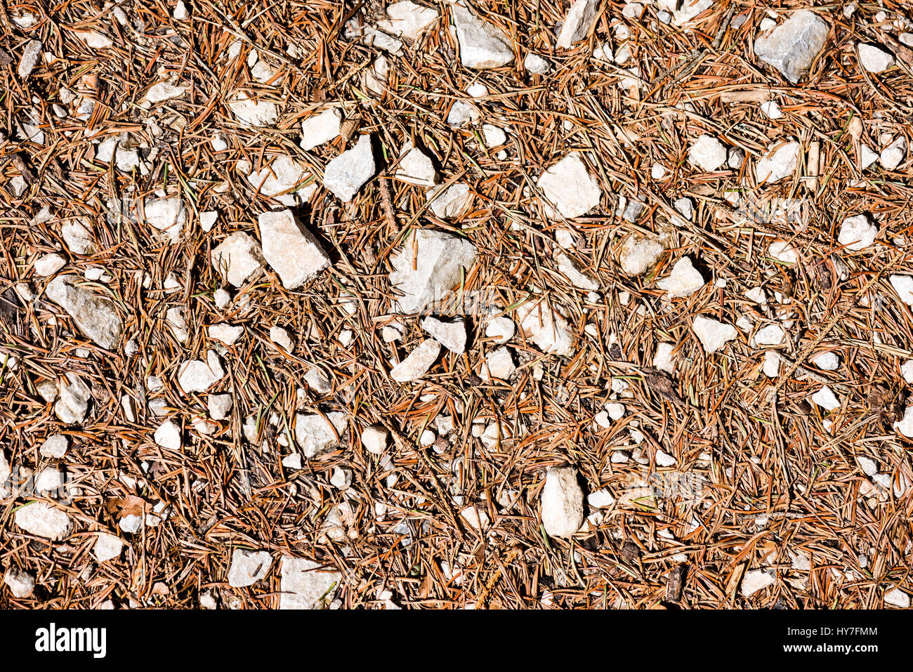 small pebble rock background texture at the beach Stock Photo - Alamy