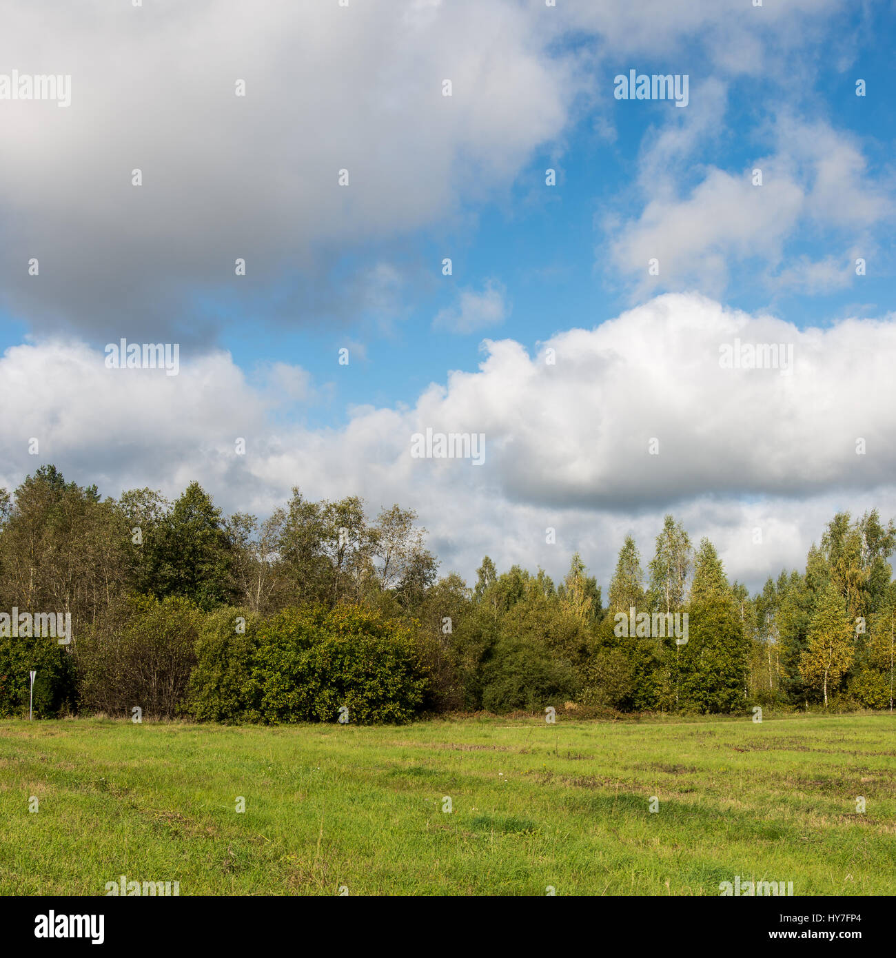Country landscape under morning sky with clouds. Overcast sky before ...