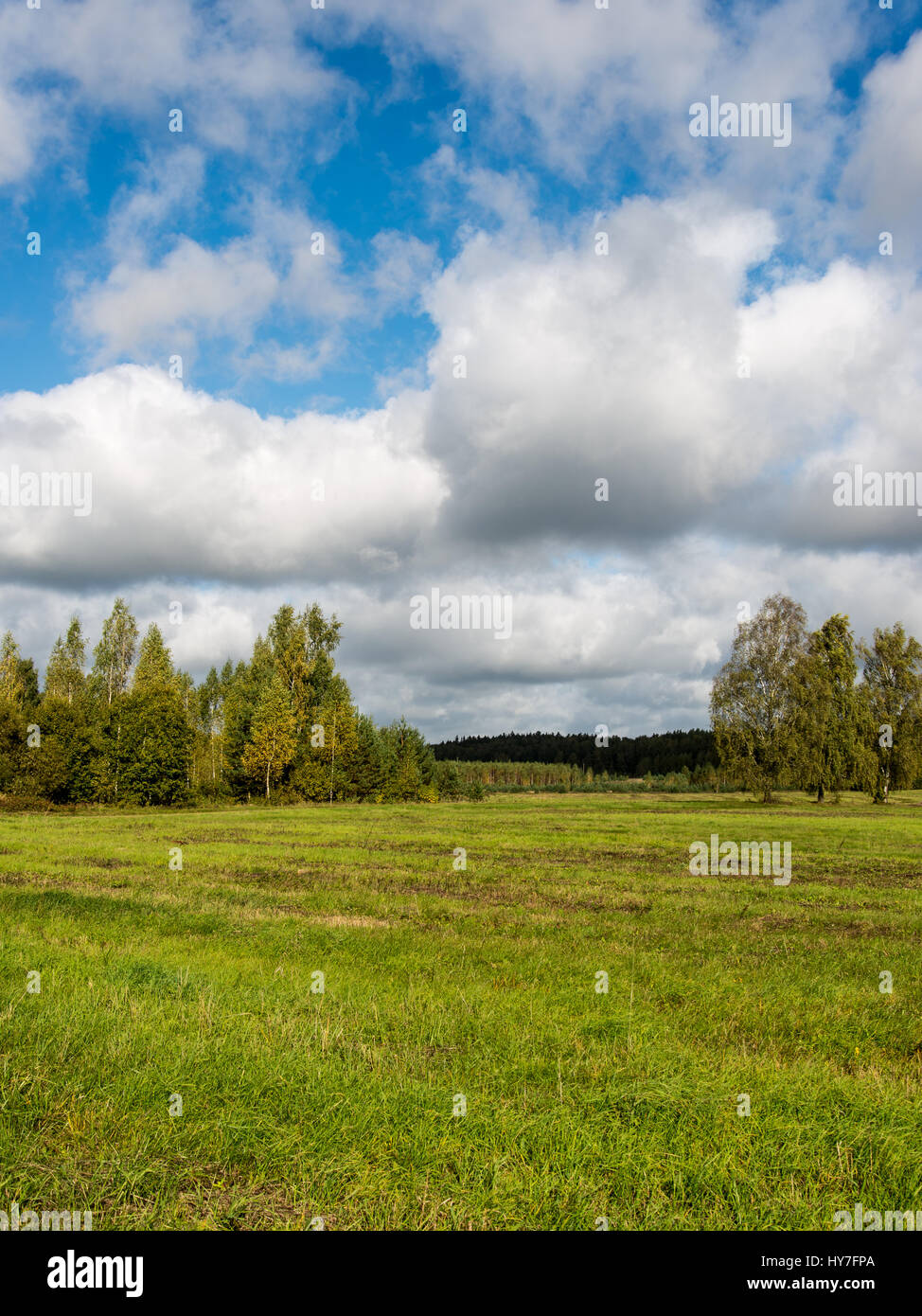 Country landscape under morning sky with clouds. Overcast sky before ...