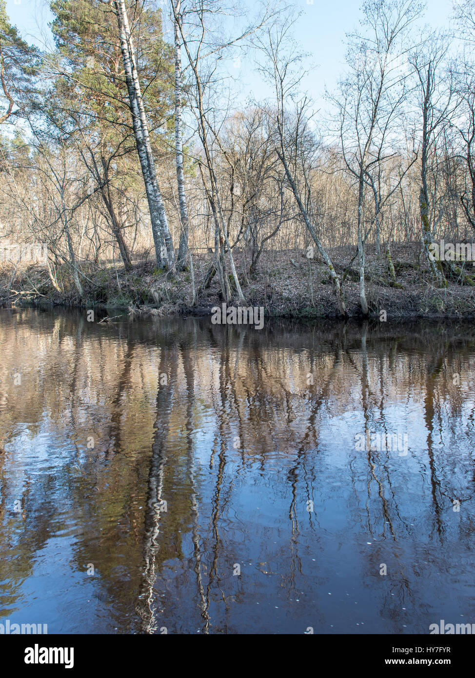 scenic spring colored river in country with trees and reflections Stock ...