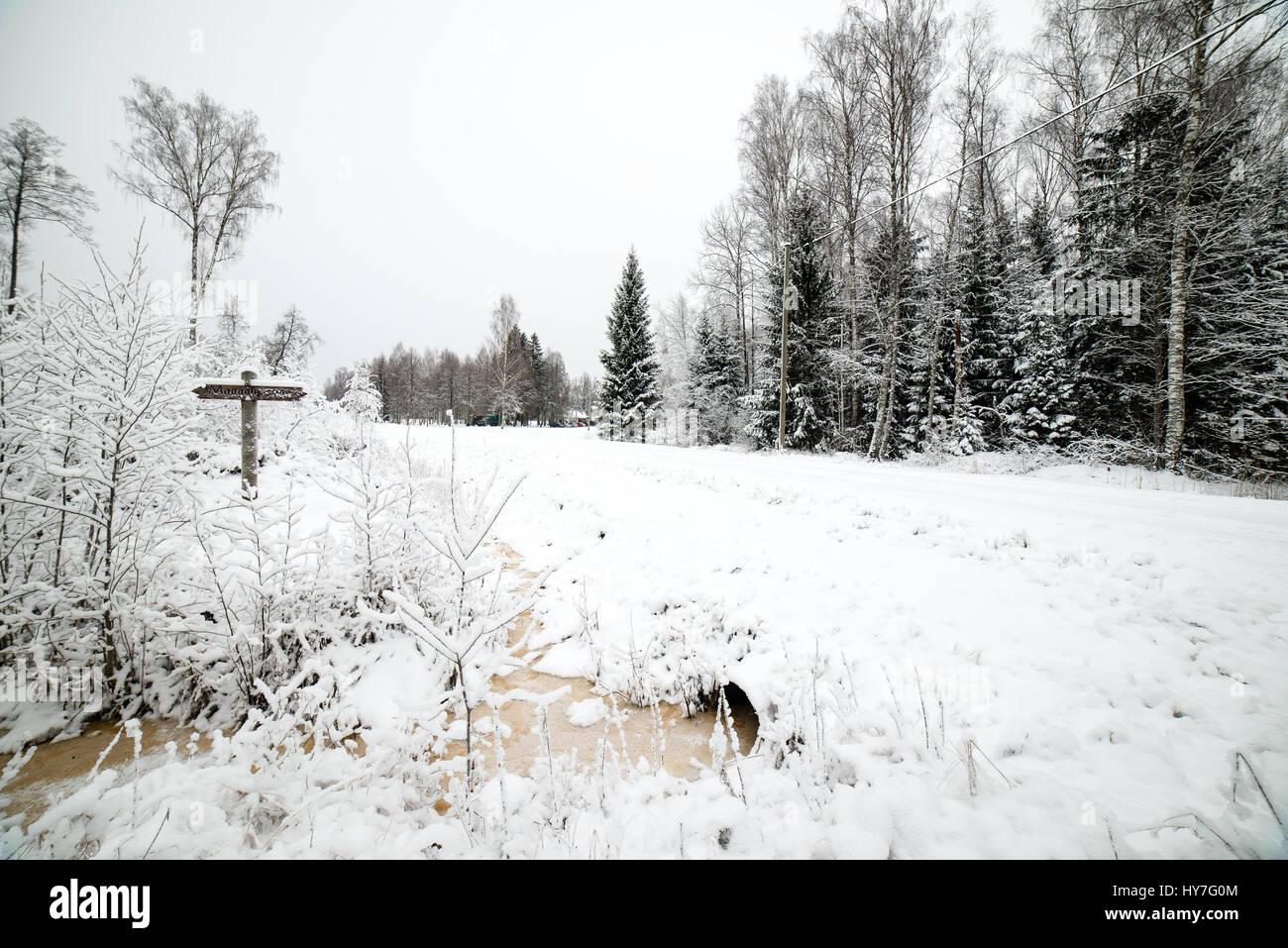 Winter park in cold morning with snow and some trees Stock Photo - Alamy
