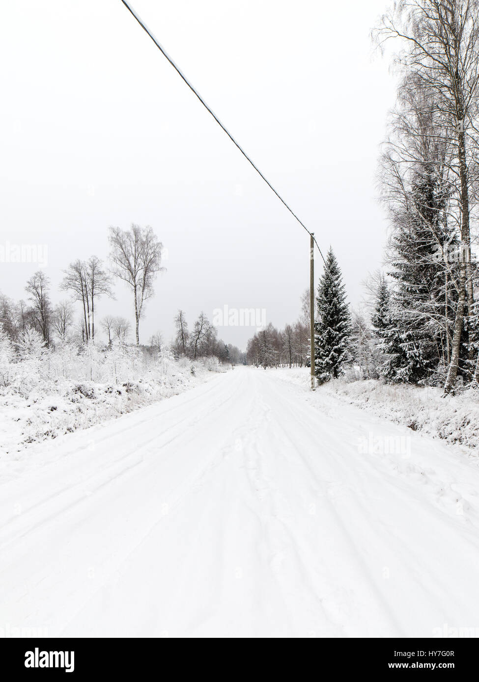 empty road in the countryside with trees in surrounding. perspective in ...