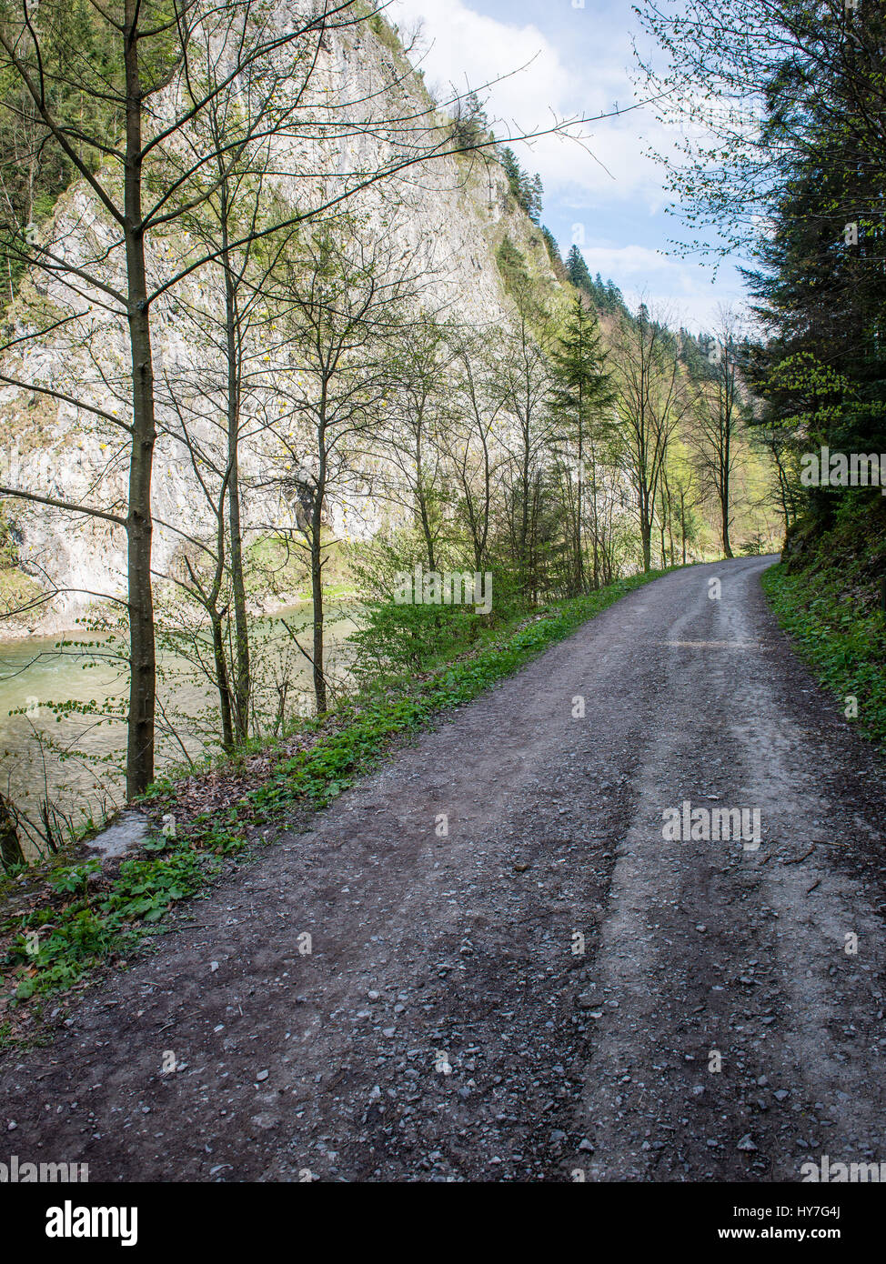 simple country road in summer at countryside with trees around Stock ...