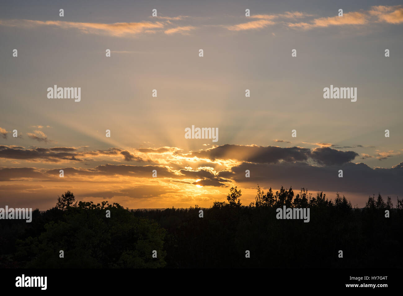 sunset over the forest in latvia Stock Photo - Alamy