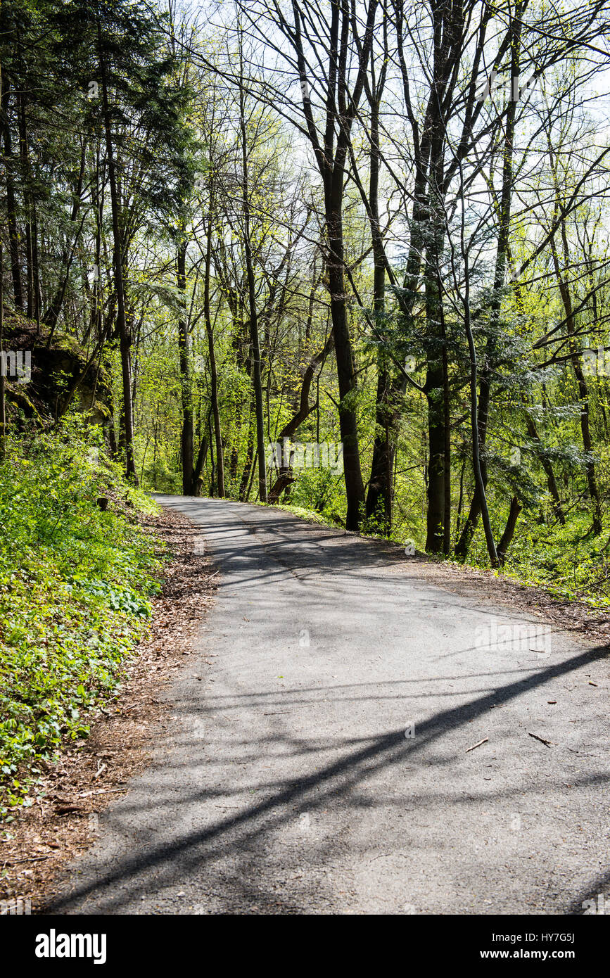 simple country road in summer at countryside with trees around Stock ...