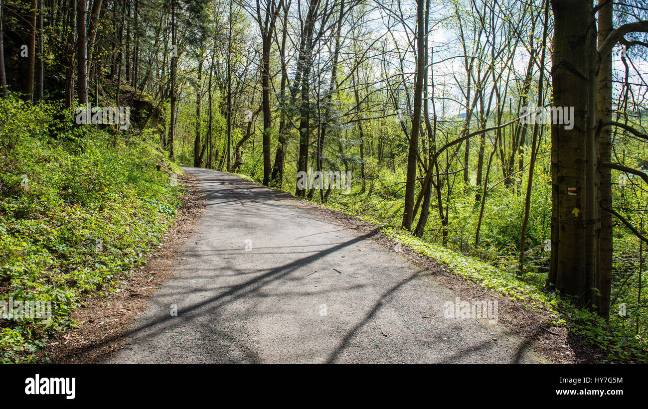 simple country road in summer at countryside with trees around Stock ...