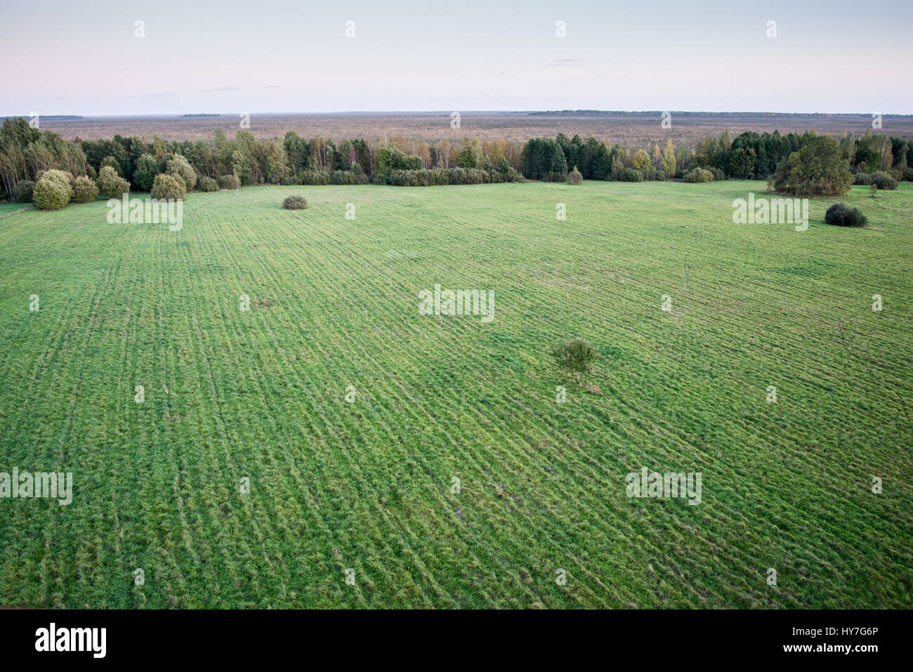 green fields aerial view from view tower in the country Stock Photo - Alamy