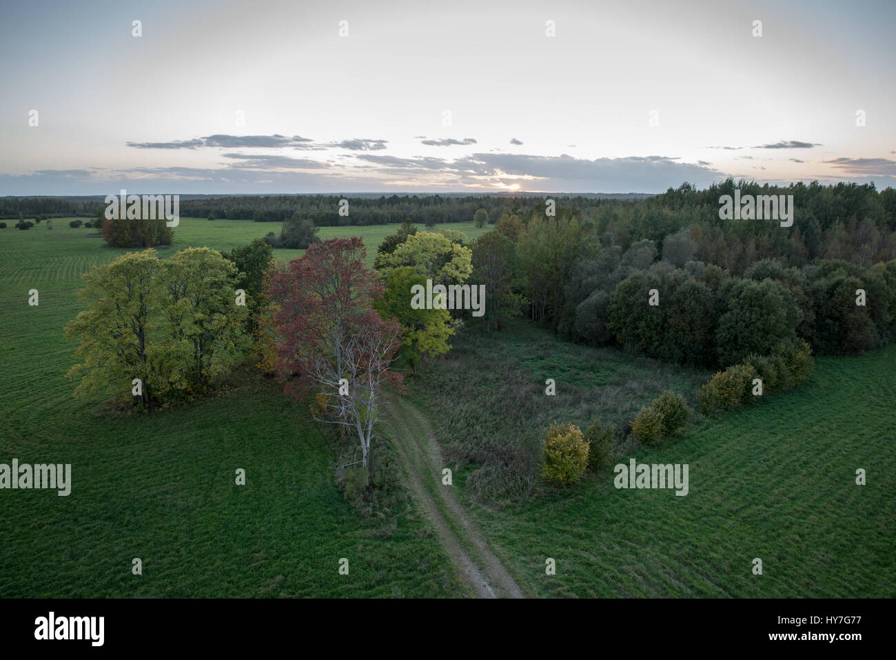 green fields aerial view from view tower in the country Stock Photo - Alamy