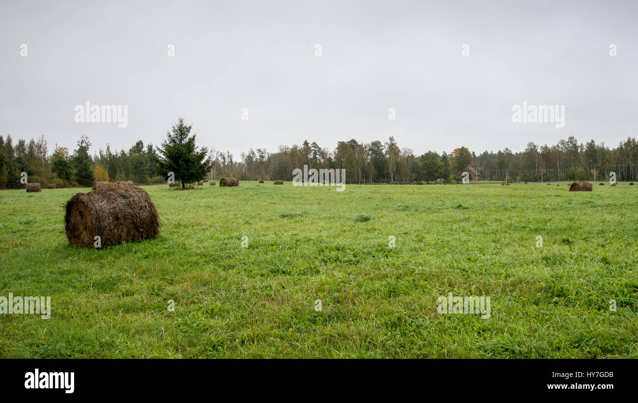 Country landscape under morning sky with clouds. Overcast sky before ...