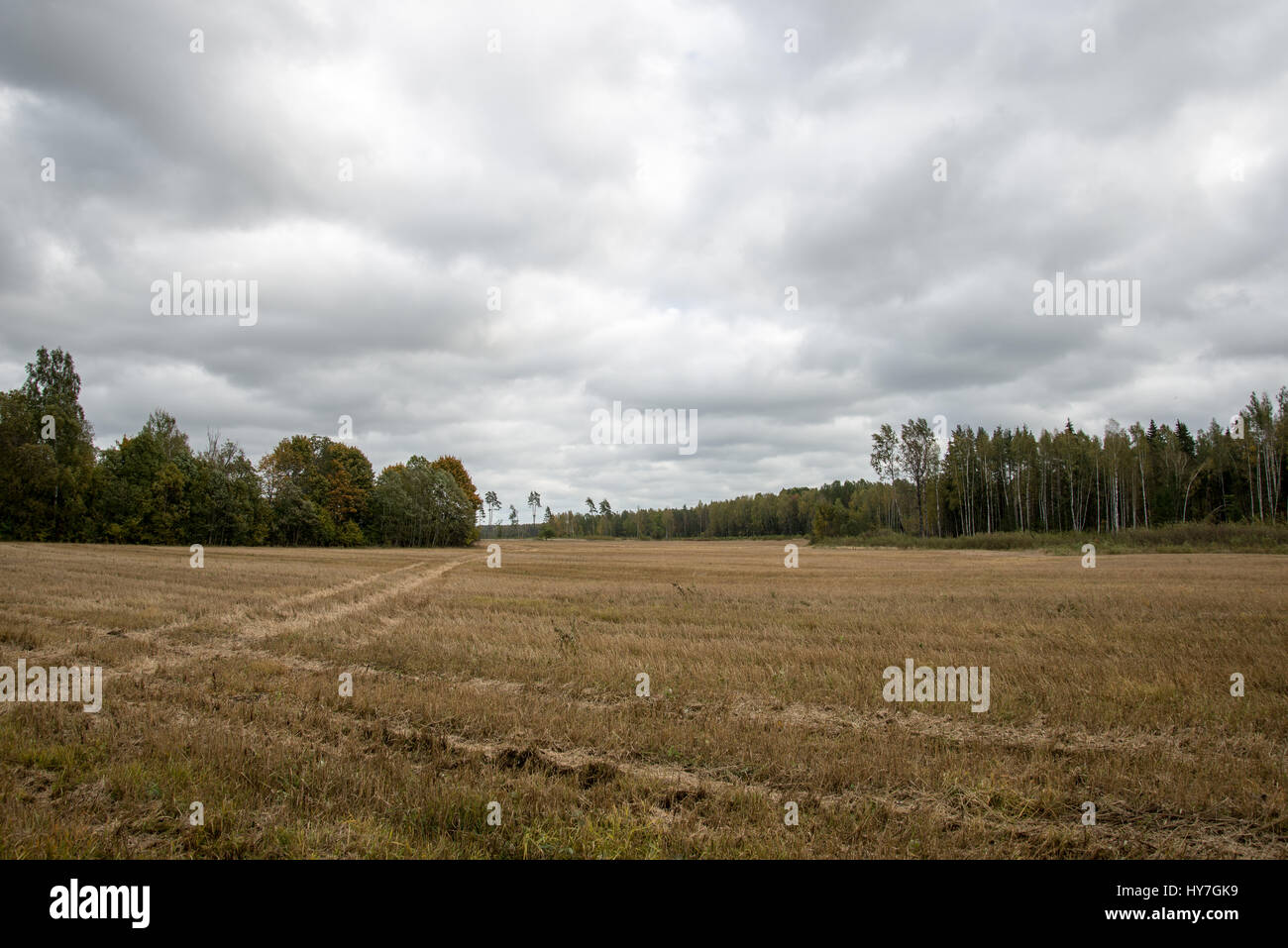 Country landscape under morning sky with clouds. Overcast sky before ...