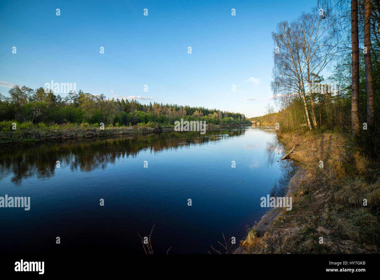 calm river in forest with reflections and trees on both sides of the ...
