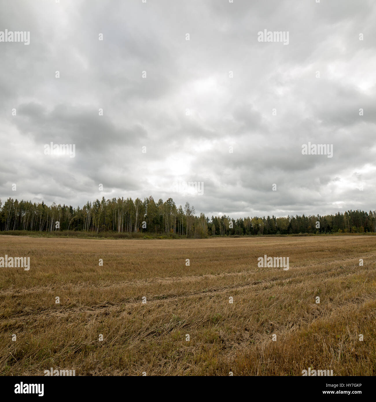 Country landscape under morning sky with clouds. Overcast sky before ...