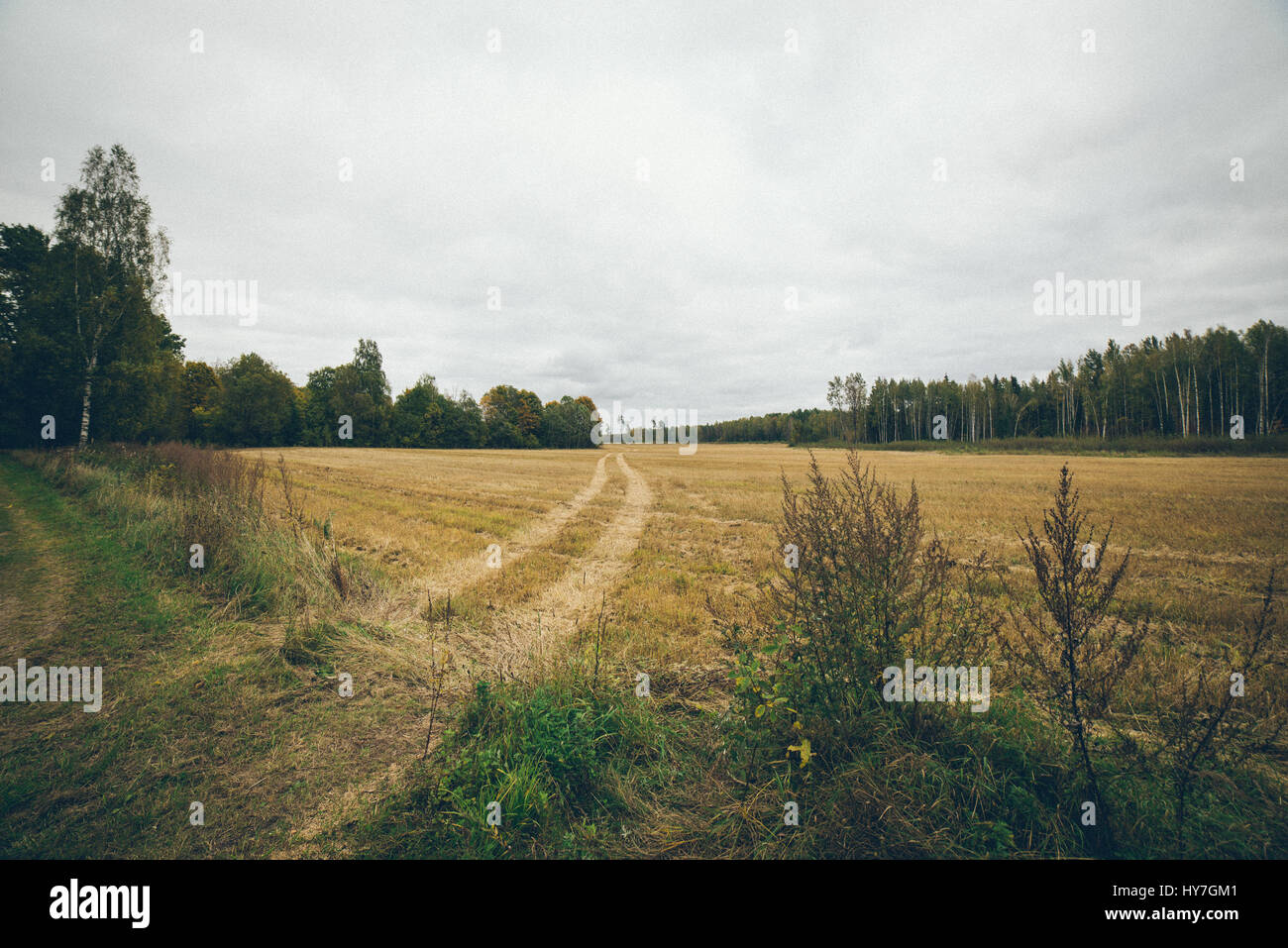 empty country road with perspective Retro grainy color film look Stock ...