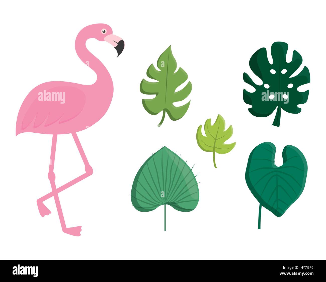 tropical leaves and flamingo icon over white background. colorful ...