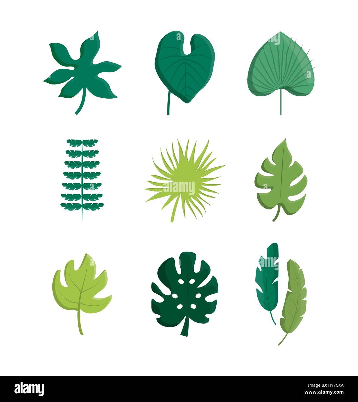 tropical leaves icon set over white background. colorful design. vector ...