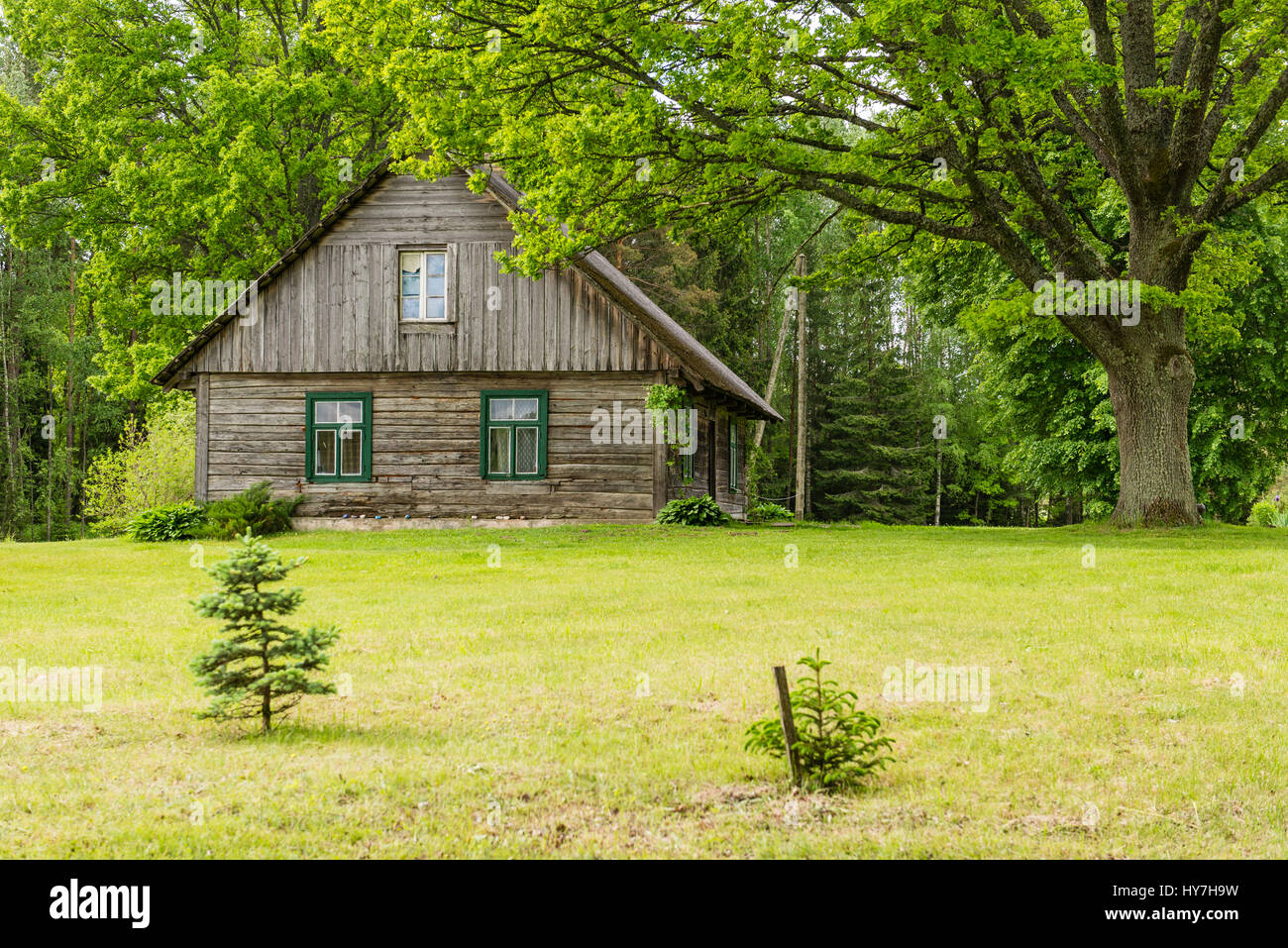 country house with oak trees in green summertime Stock Photo - Alamy