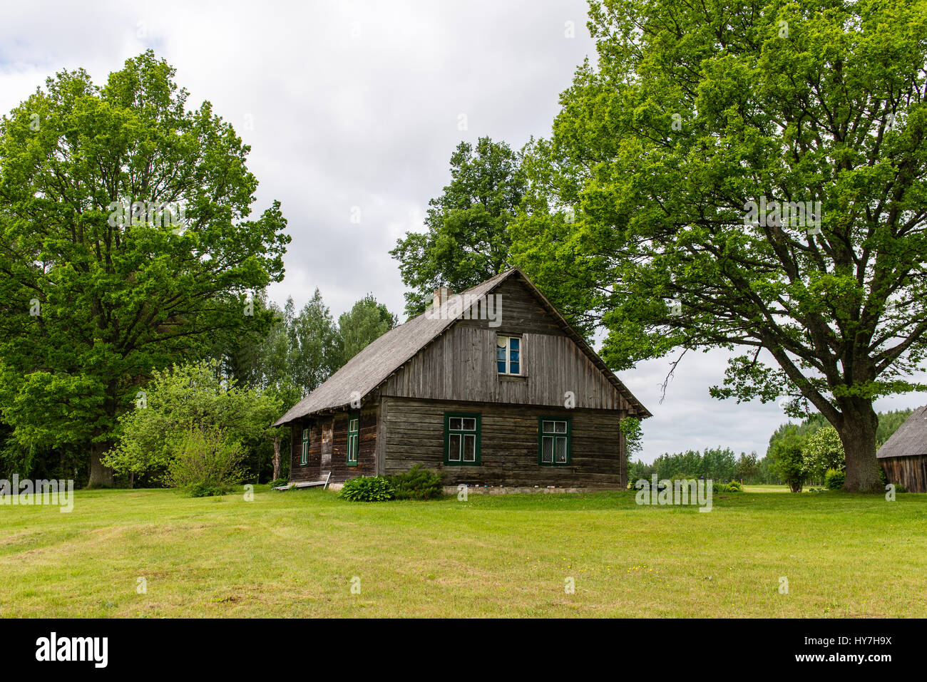 country house with oak trees in green summertime Stock Photo - Alamy
