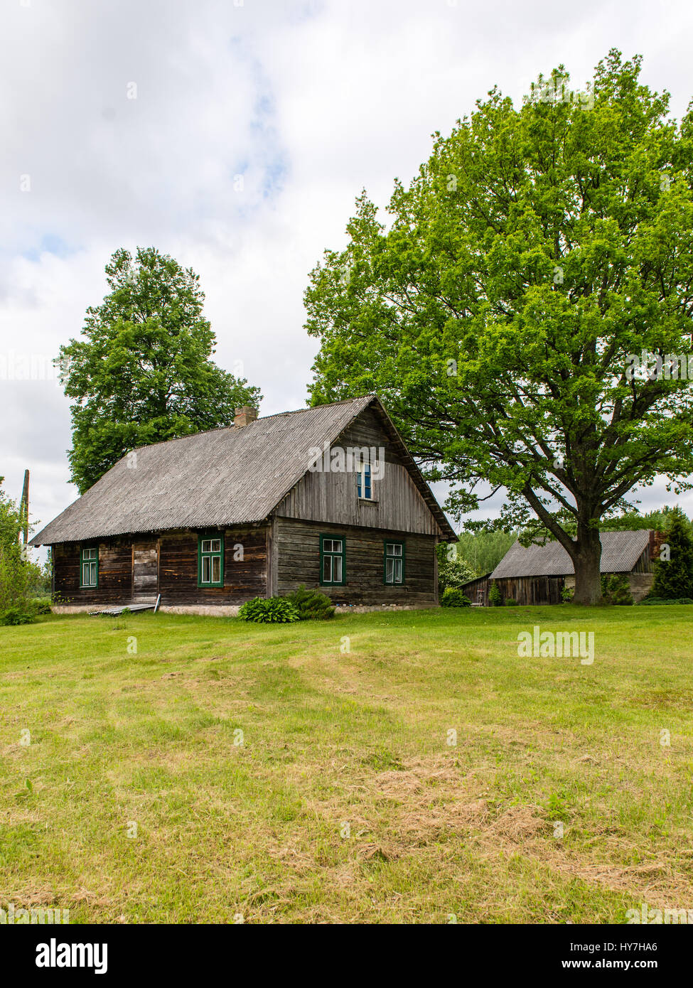 country house with oak trees in green summertime Stock Photo - Alamy