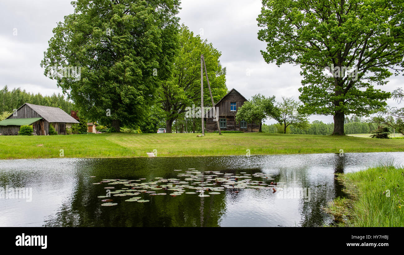country house with pond and oak trees in green summertime Stock Photo ...