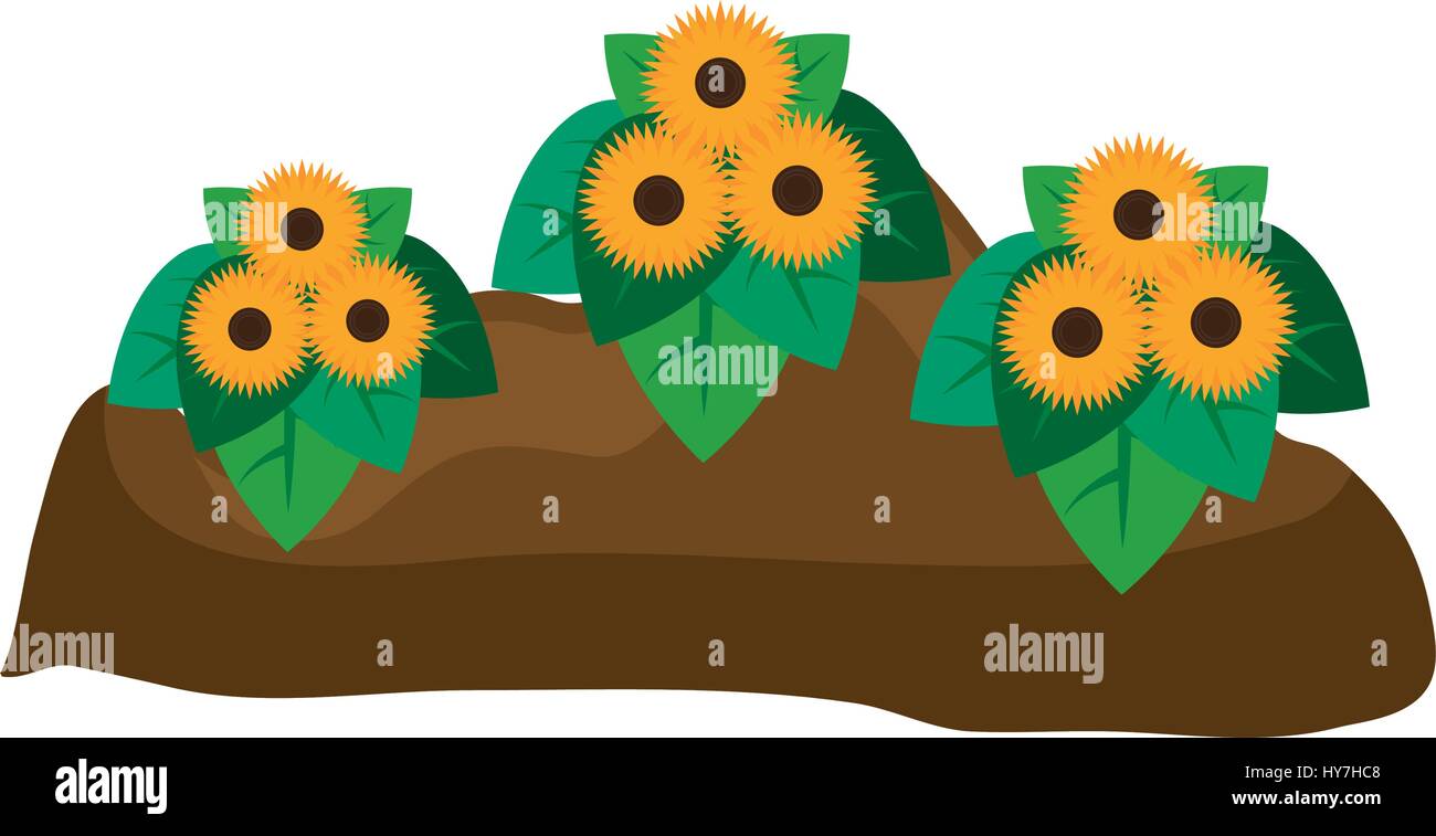 beautiful flowers growing in the soil over white background. colorful ...