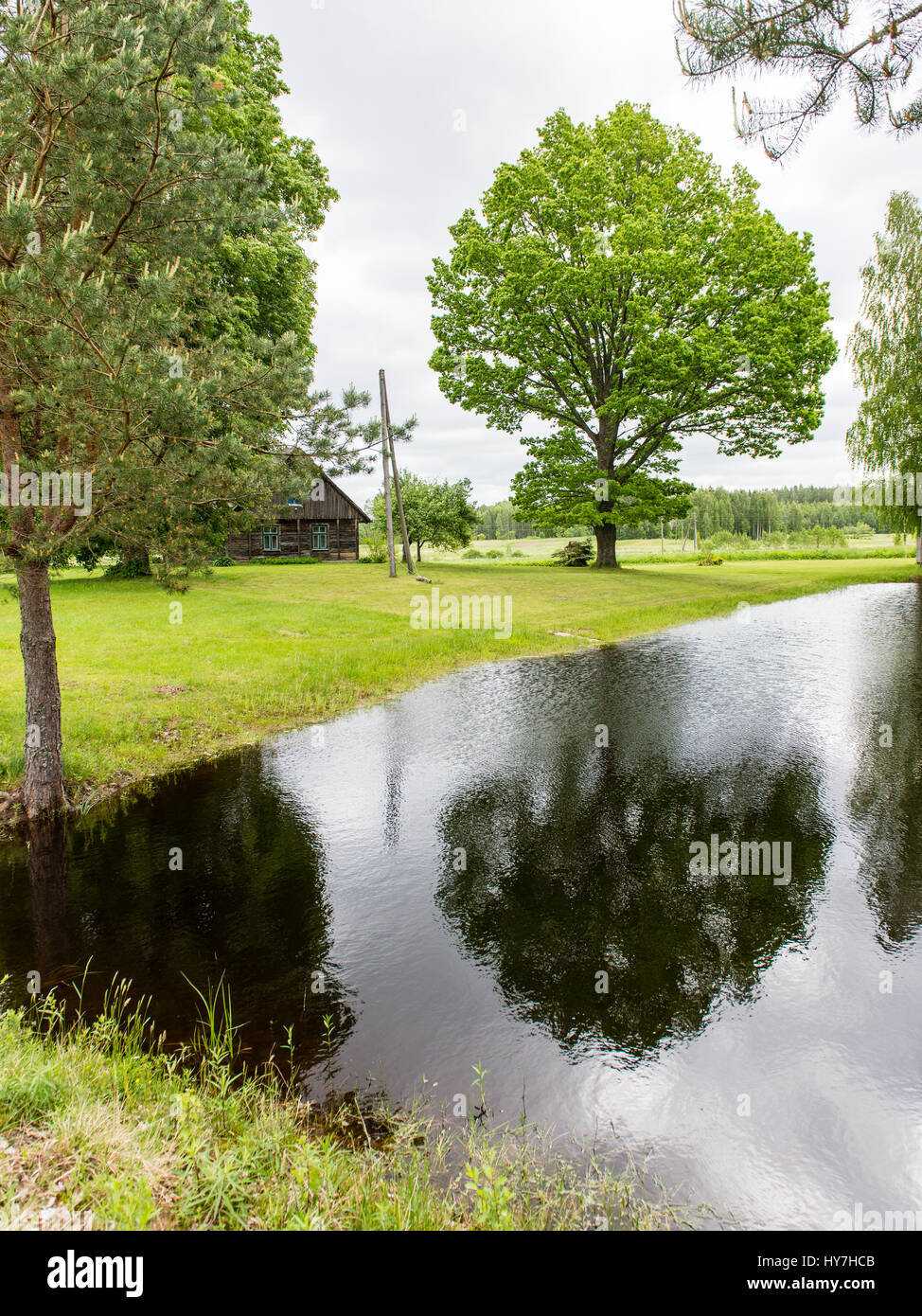country house with pond and oak trees in green summertime Stock Photo ...