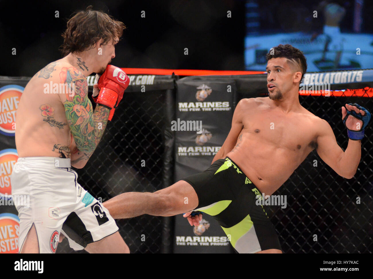 Damian jackson hi-res stock photography and images - Alamy