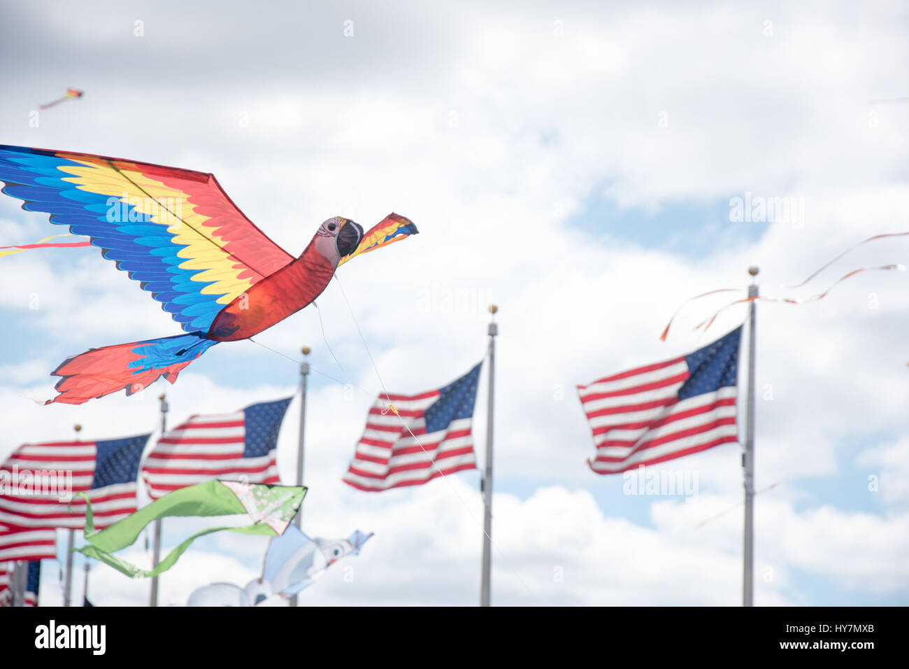 American flag kite hi-res stock photography and images - Alamy
