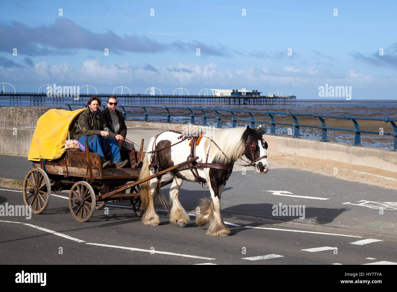 Old vintage wooden farm cart wagon and brown & white cob horse being ...