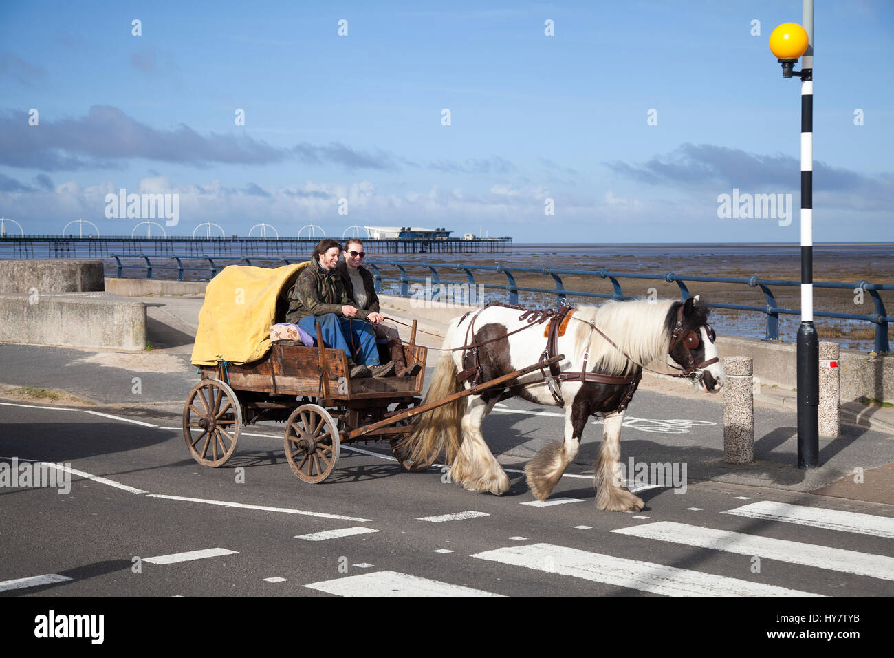 Old vintage wooden farm cart wagon and brown & white cob horse being ...