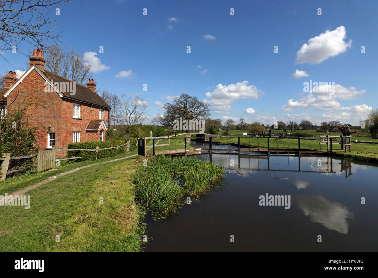 Ripley surrey uk hi-res stock photography and images - Alamy
