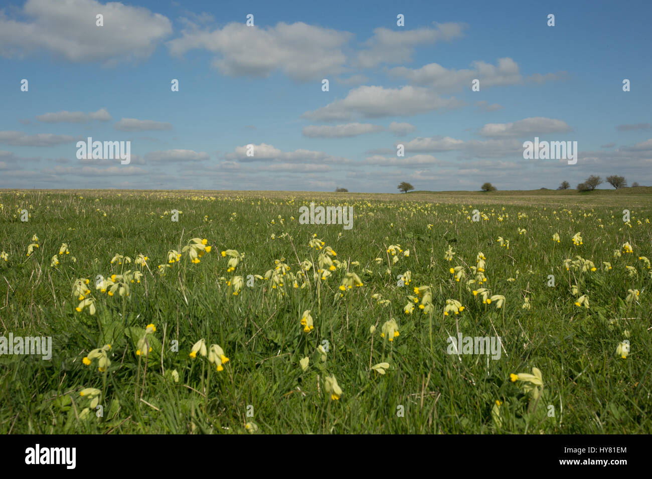 Letcombe hi-res stock photography and images - Alamy