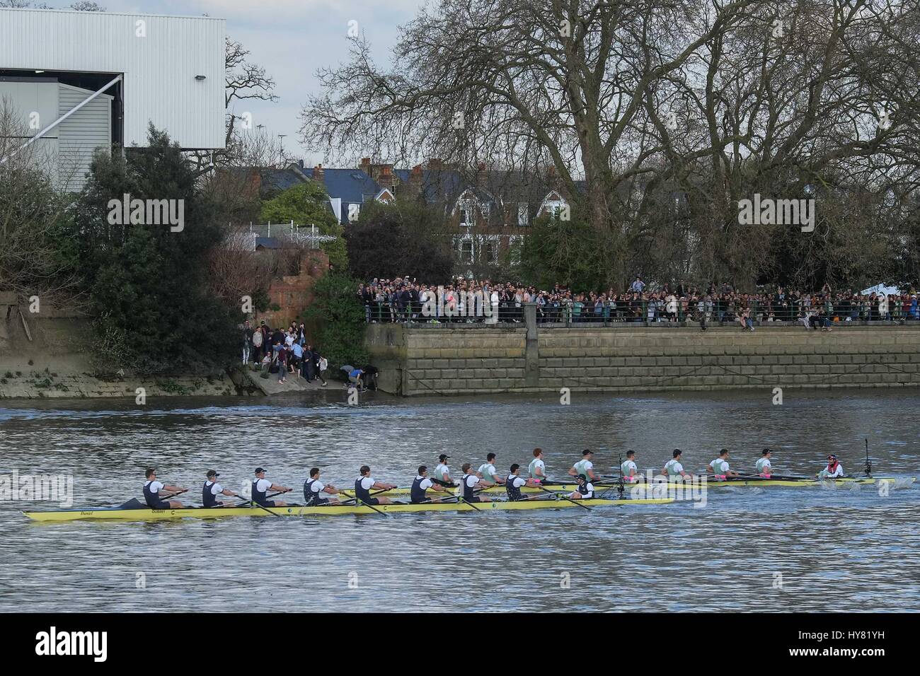 Cambridge university boat club blue boat hi-res stock photography and ...