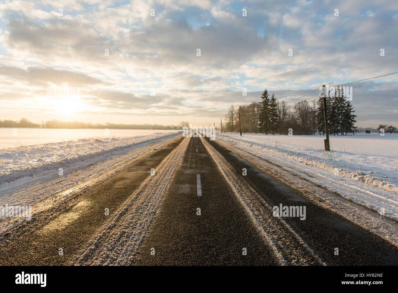empty road in the countryside with trees in surrounding. perspective in ...